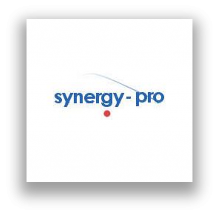 Synergy-Pro_Block | Synergy-Pro Limited